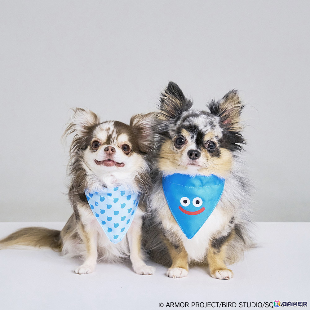 スクウェア・エニックスのペットグッズブランド「SQEX PETs」より「ドラゴンクエスト」「ファイナルファンタジー」「キングダム ハーツ」グッズが発売決定！ | Gamer