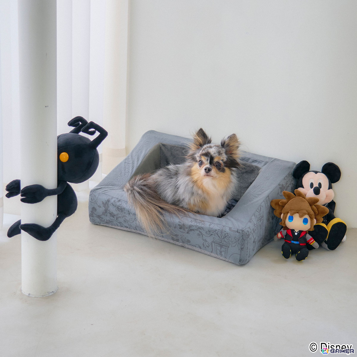 スクウェア・エニックスのペットグッズブランド「SQEX PETs」より「ドラゴンクエスト」「ファイナルファンタジー」「キングダム ハーツ」グッズが発売決定！ | Gamer